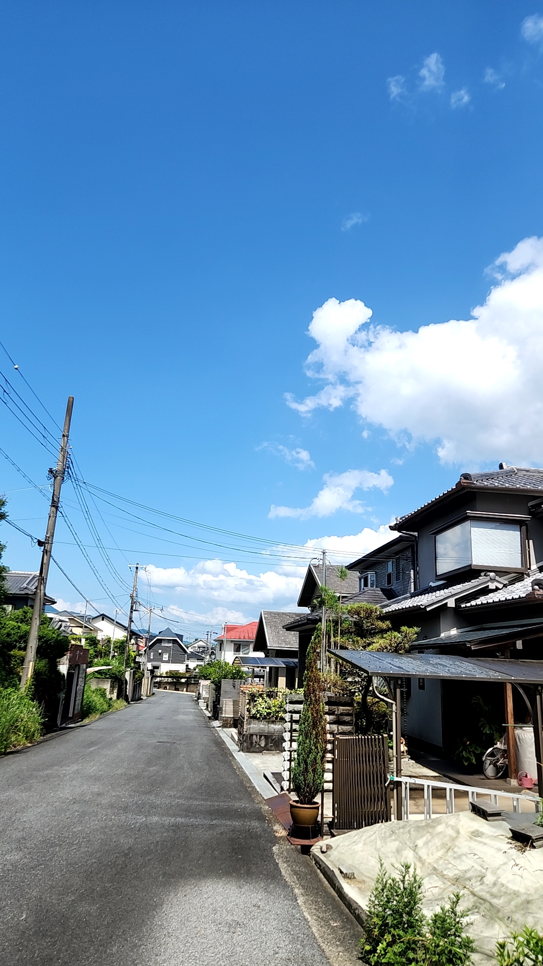 暑すぎですね ｜ STBポスティングサービス